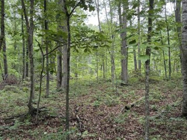 Lake Dr Lot,crimora, Plot For Sale