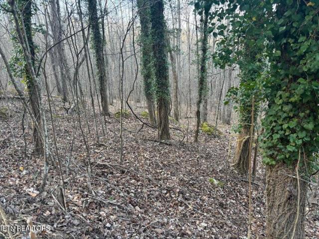 Lake Drive Lane, LaFollette, TN 37766
