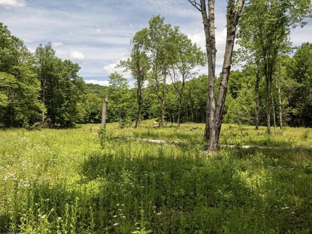 Lake Island Dr Lot 11, Belington, WV 26250