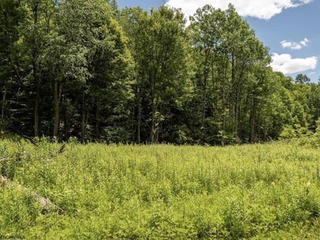 Lake Island Dr Lot 13, Belington, WV 26250