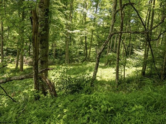 Lake Island Dr Lot 19, Belington, WV 26250