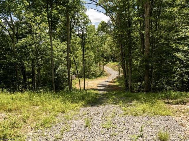 Lake Island Dr Lot 21, Belington, WV 26250