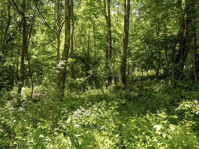 Lake Island Dr Lot 23, Belington, WV 26250