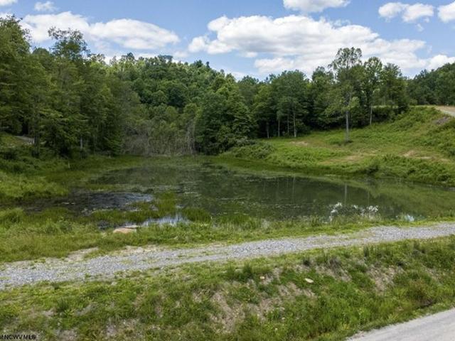 Lake Island Dr Lot 9, Belington, WV 26250