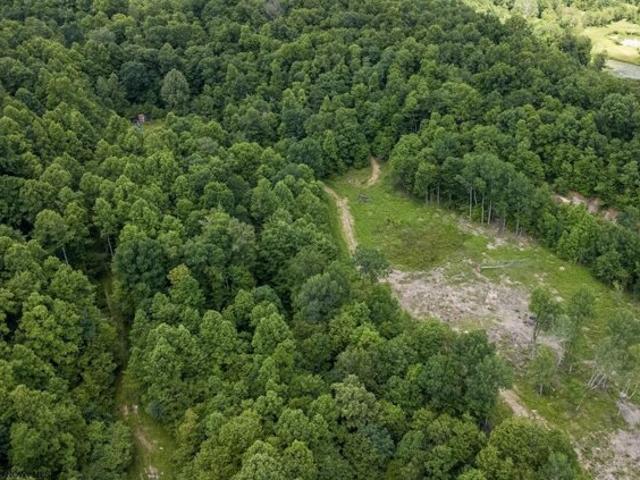 Lake Island Dr Lot,belington, Plot For Sale