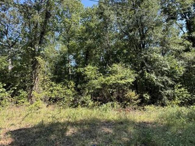 Lake Lurleen Rd, Coker, AL 35452
