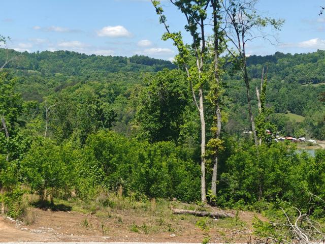 Lake Lane Lot 6, New Tazewell, TN 37825