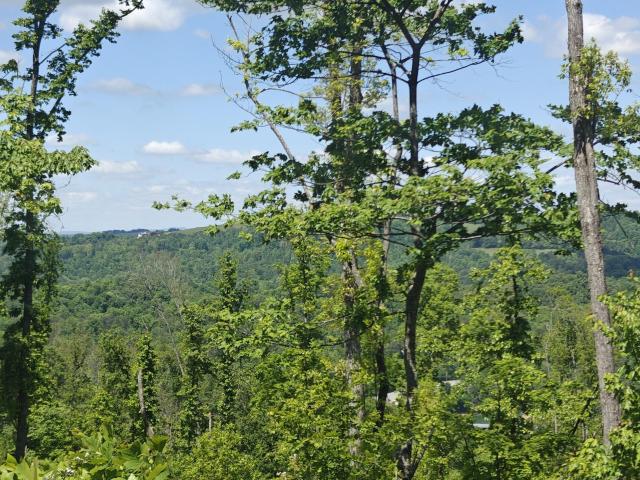 Lake Lane Lot 7, New Tazewell, TN 37825