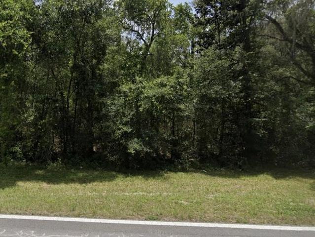 Lake Lindsey Rd, Nobleton, FL 34661