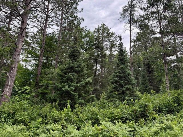 Lake Lodge Dr Lot 23, Cable, WI 54821