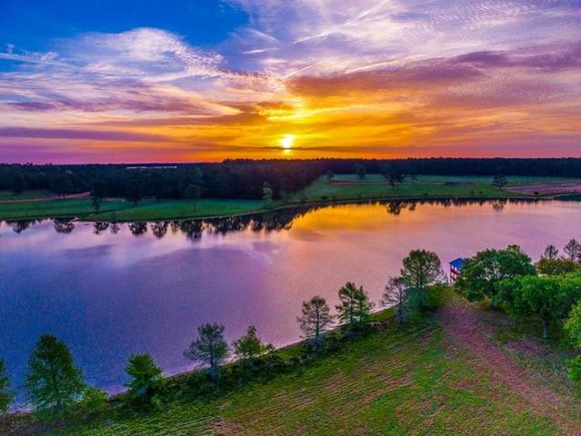 Lake Lot 26, Hillister, TX 77624
