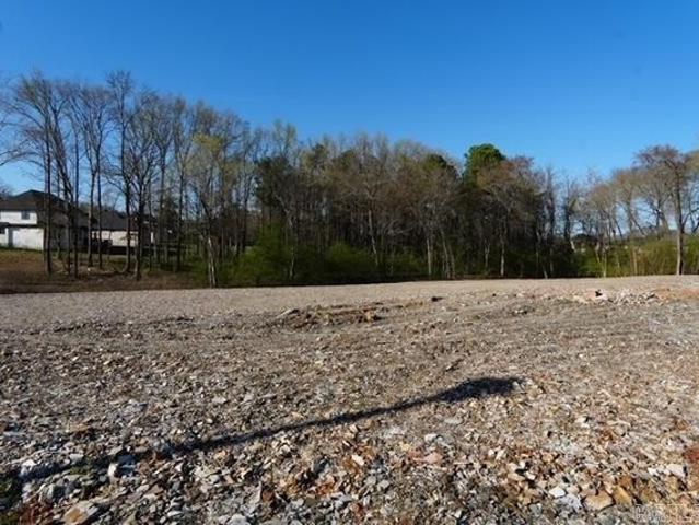 Lake Point Cir Lot 29R, Benton, AR 72019