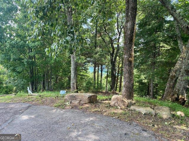 Lake Rabun Bluffs Dr Lot 29, Lakemont, GA 30552
