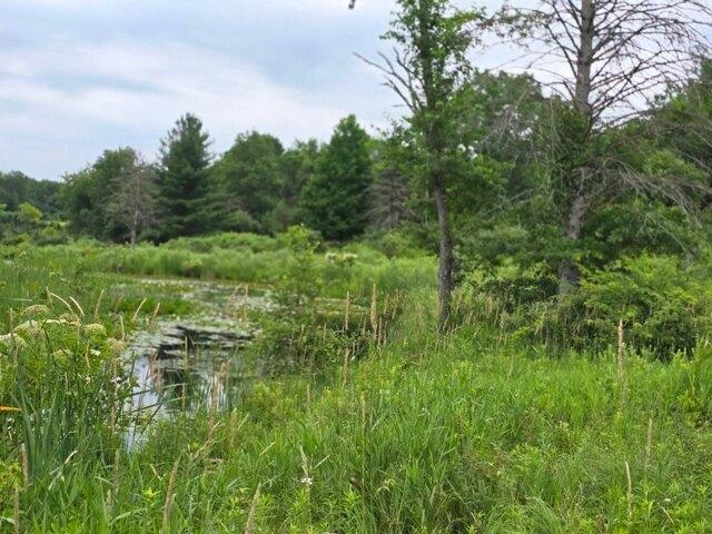 Lake Rd, Barryton, Plot For Sale