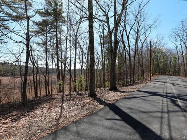 Lake Rd, Lake Katrine, Plot For Sale