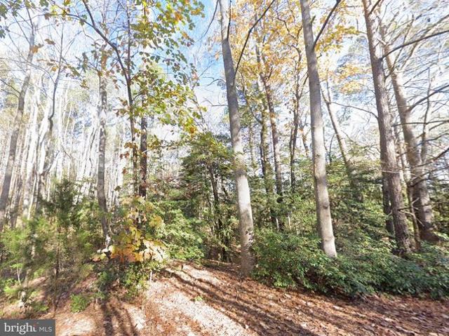 Lake Rd, Lottsburg, VA 22511