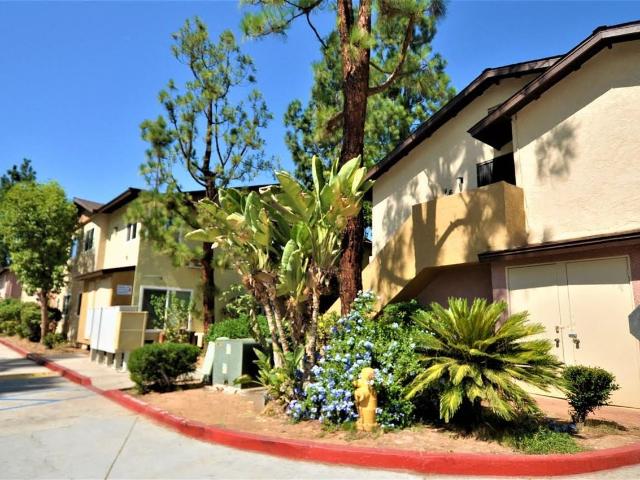 Lake Ridge 1 Bedroom Apartment for Rent at 9658 Winter Gardens Blvd, Winter Gardens, CA 92040 Winter Gardens