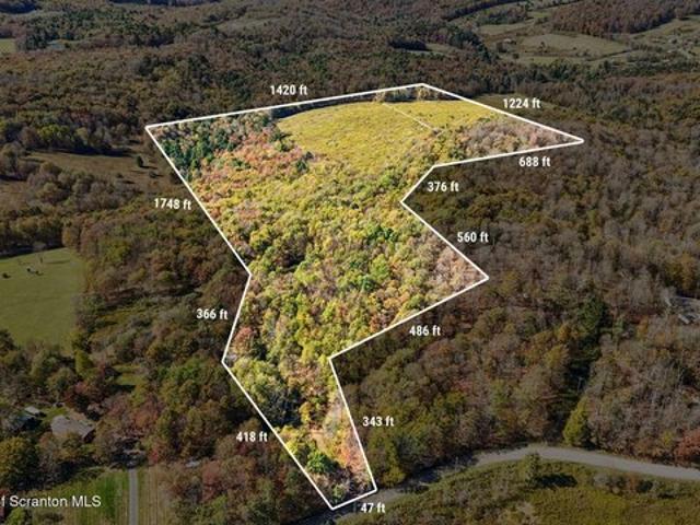 Lake Roy Rd, New Milford, PA 18834