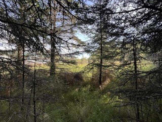 Lake St, Homer, AK 99603