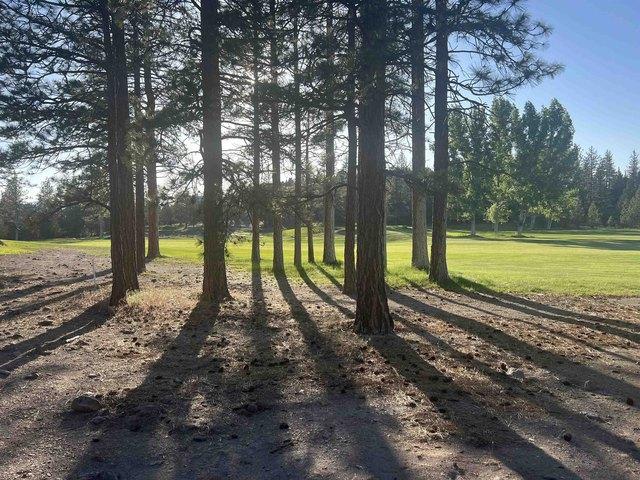 Lake Shore Dr Lot 11, Weed, CA 96094