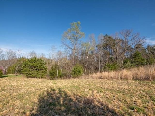 Lake Shore Dr Lot 38, Yanceyville, NC 27379