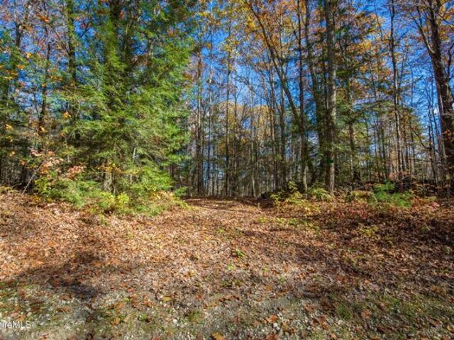 Lake Shore Dr, Sandisfield, Plot For Sale