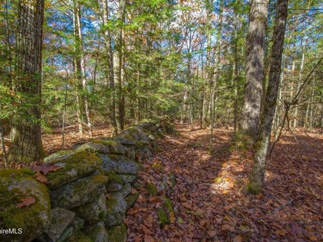 Lake Shore Dr, Sandisfield, Plot For Sale