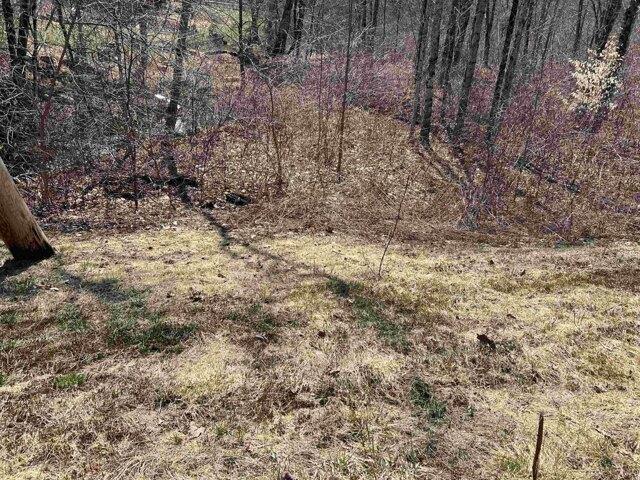 Lake Shore Dr, Winchester, Plot For Sale