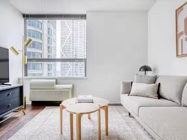 Lake Shore Plaza, 445 E Ohio St, Streeterville 1 Bedroom 1.