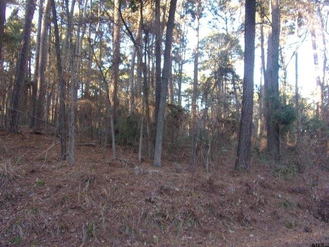 Lake Side Dr, Flint, TX 75762