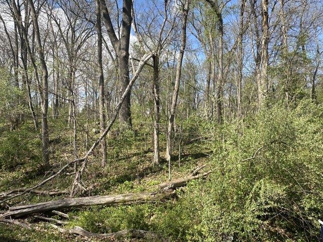 Lake Thunderbird Hls Lot 168, Putnam, IL 61560