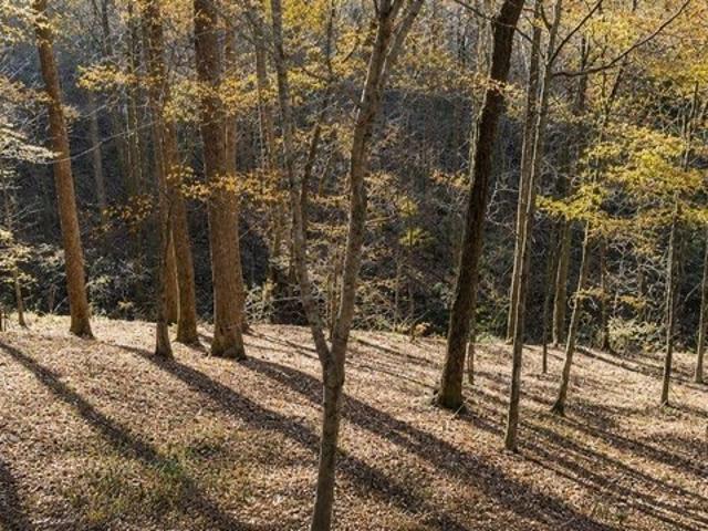 Lake View Dr, Smithville, TN 37166