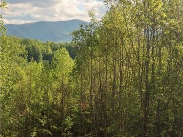 Lake View Tbd Dr Lot 25, Elk Park, NC 28622