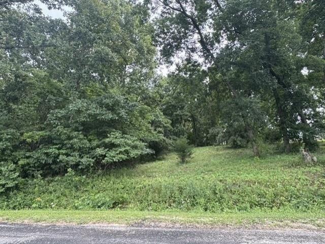 Lake Viking Ter Lot 1915, Gallatin, MO 64640