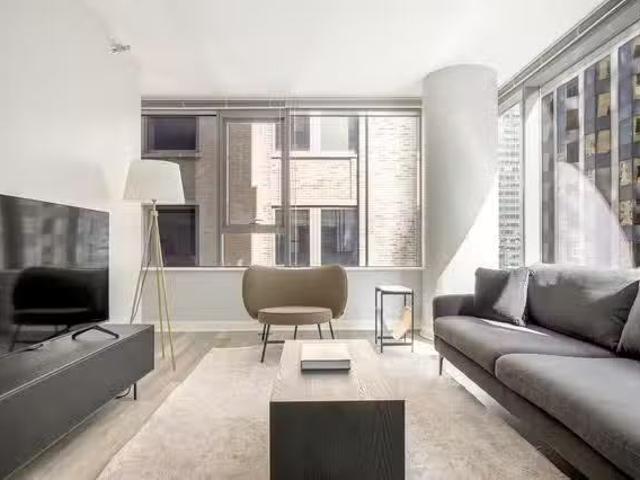 Lake & Wells Apartments, 210 N Wells St, The Loop 1 Bedroom.