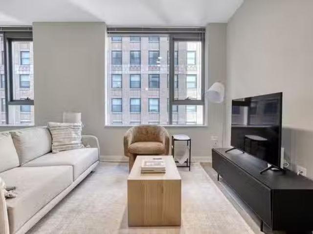 Lake & Wells Apartments, 210 N Wells St, The Loop 1 Bedroom.