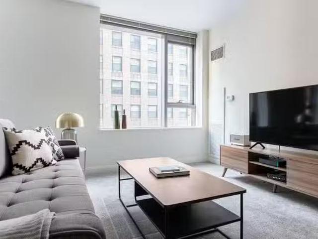 Lake & Wells Apartments, 210 N Wells St, The Loop 1 Bedroom.