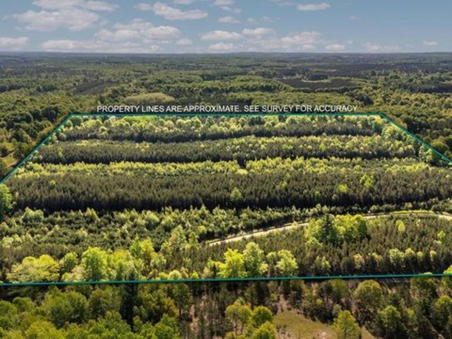Lake 8 31 Acre Lot D, Fife Lake, MI 49633