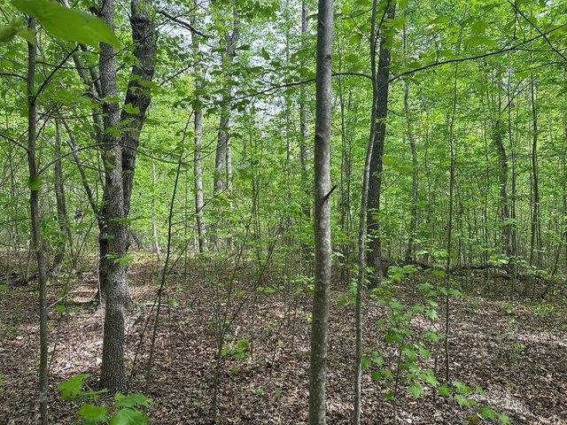 Lakefront Dr Lot 20 21, Clarksville, VA 23927