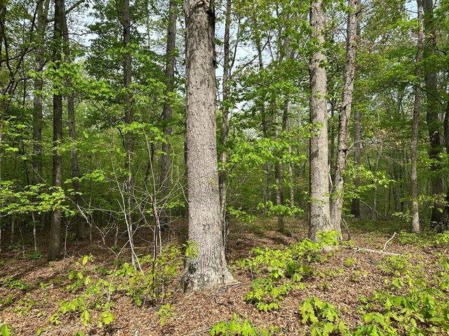 Lakefront Dr Lot 5 7, Clarksville, VA 23927