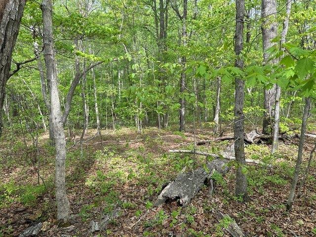 Lakefront Dr Lot 8 10, Clarksville, VA 23927