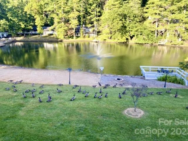 LAKEFRONT newly remodeled fully furnished efficie