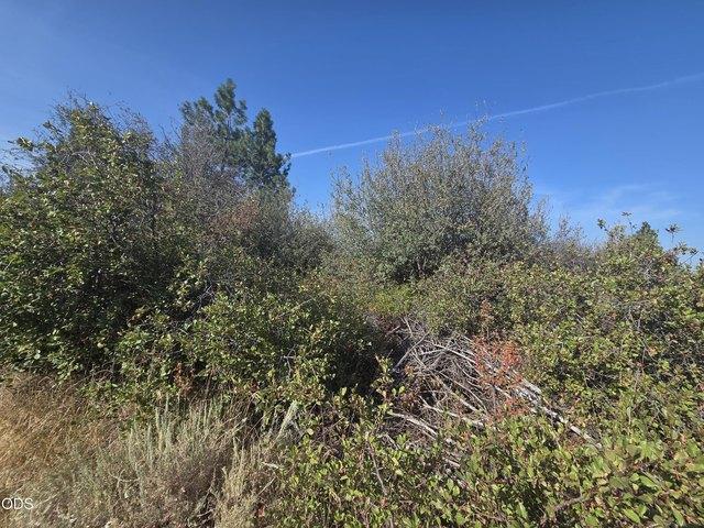 Lakeland Rd Lot 24, Chiloquin, OR 97624
