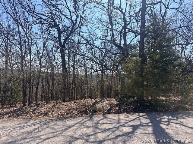 Lakeshire Dr, Camdenton, MO 65020