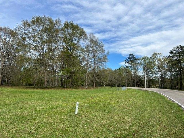 Lakeshore Dr, Carriere, MS 39426