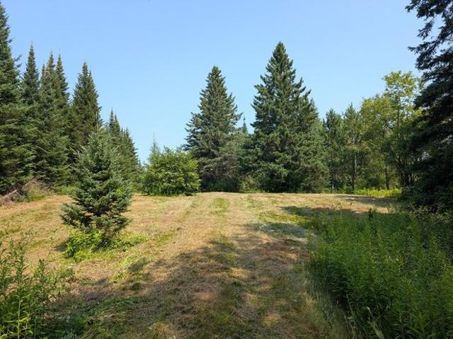 Lakeshore Dr, Butternut, WI 54514