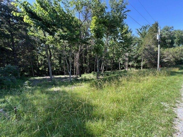 Lakeshore Dr S, Goreville, IL 62959