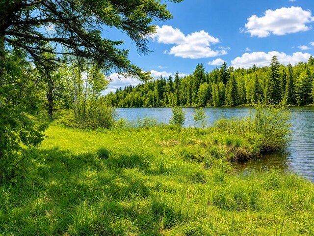 Lakeshore Dr, Presque Isle, Plot For Sale
