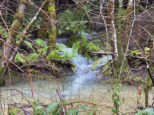 Lakeshore Dr, Willits, CA 95490