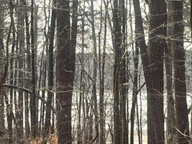 Lakeshore Estates Dr Lot,lincolnton, Plot For Sale